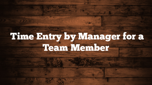 Time Entry by Manager for a Team Member - Thinkapace Consulting ...